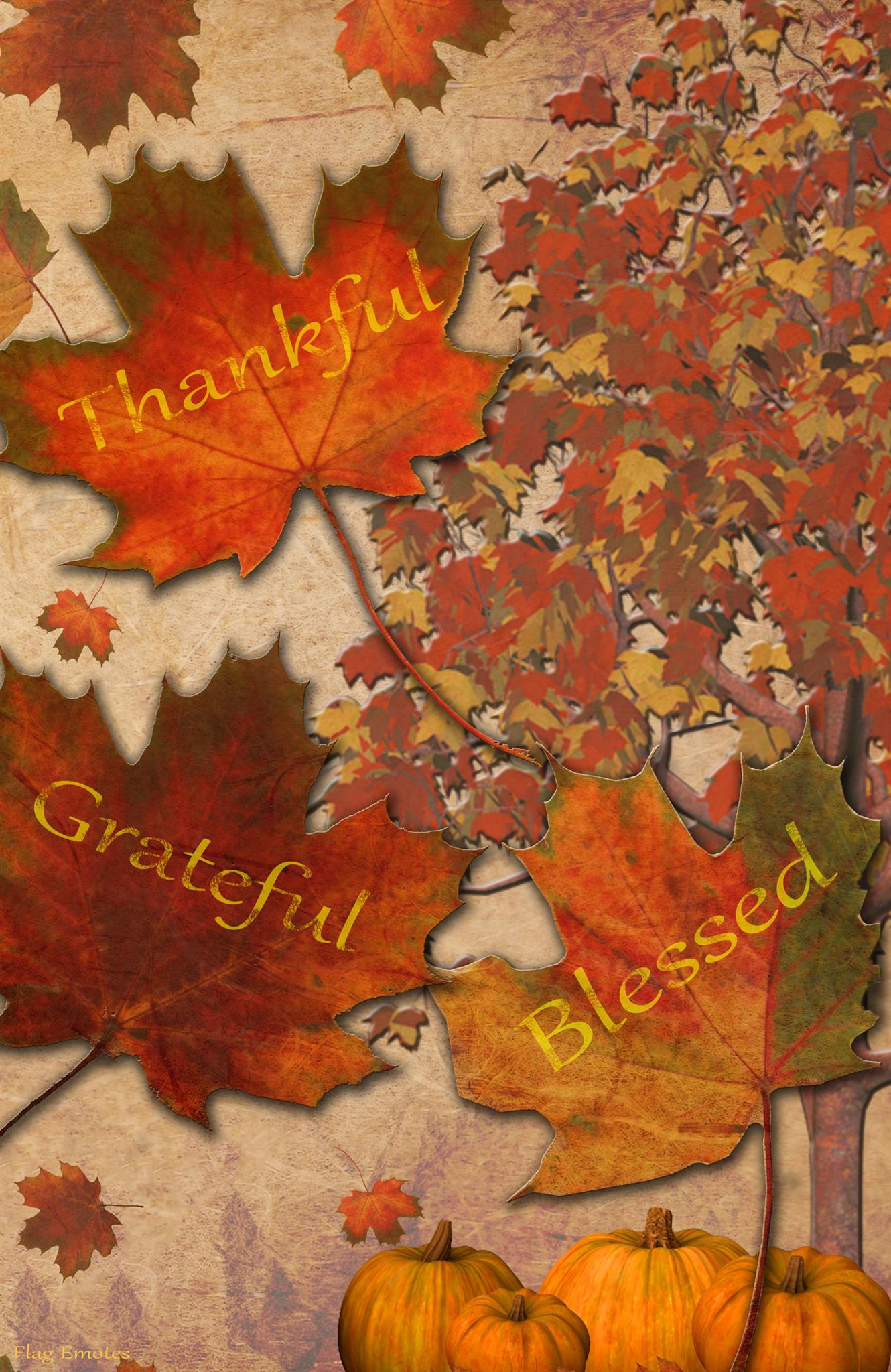 Thankful Grateful Blessed Fall Leaves Garden Flag Emotes