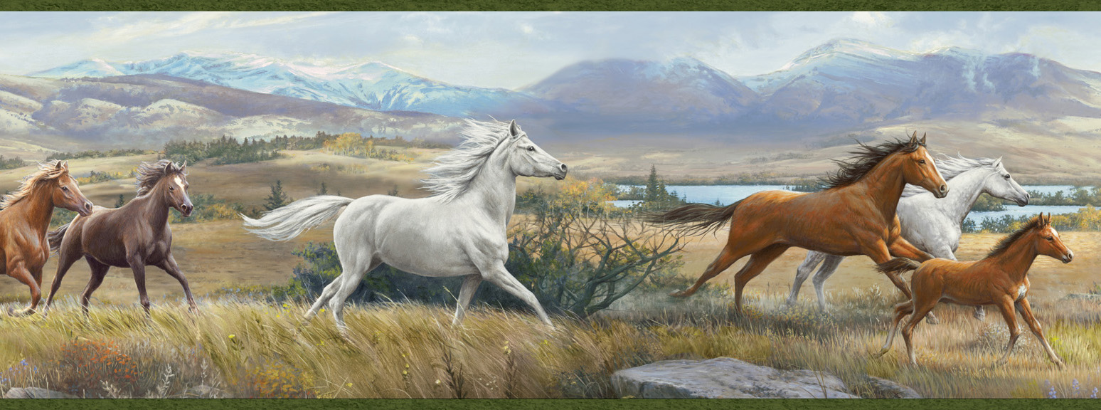 horses wallpaper border