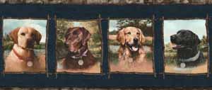 GQ157B Blue Labrador Dog Wallpaper Border